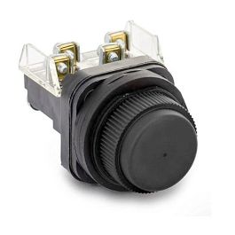 800H-R2A Allen Bradley - New Push Button