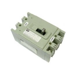 HEF631100-GREEN FPE Circuit Breaker - 100A|600V|3 Pole